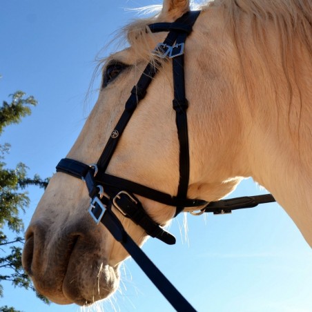 Bitless Bridle Feel-Free