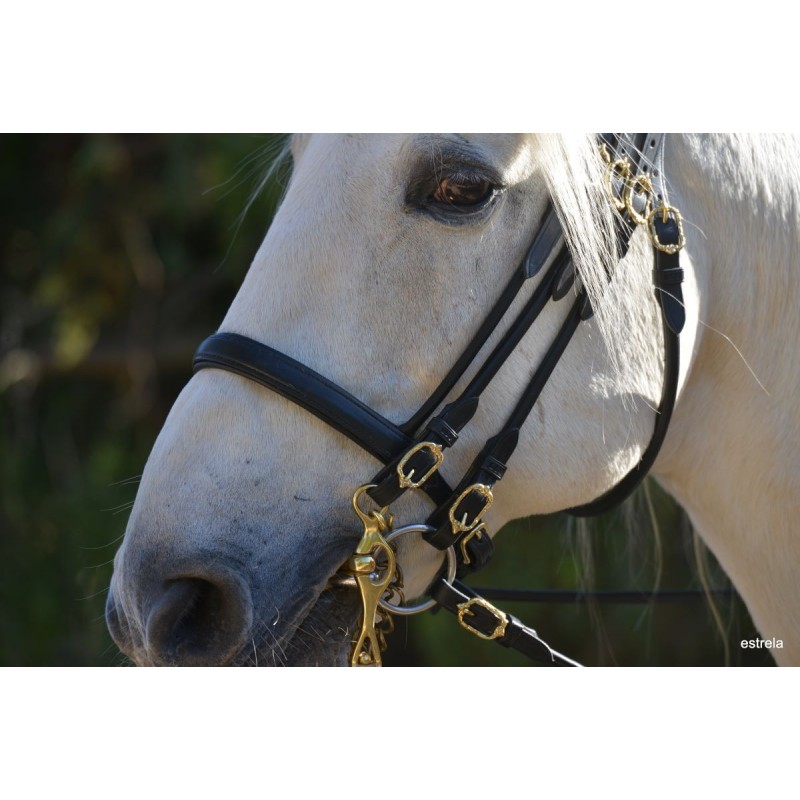 Handmade rolled double bridle