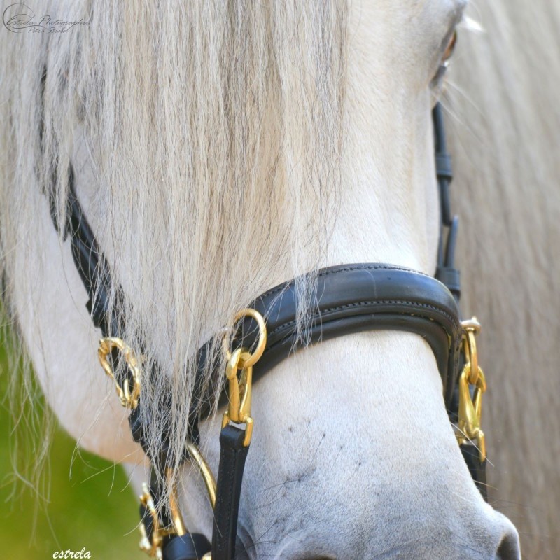 Handmade Academic Bridle