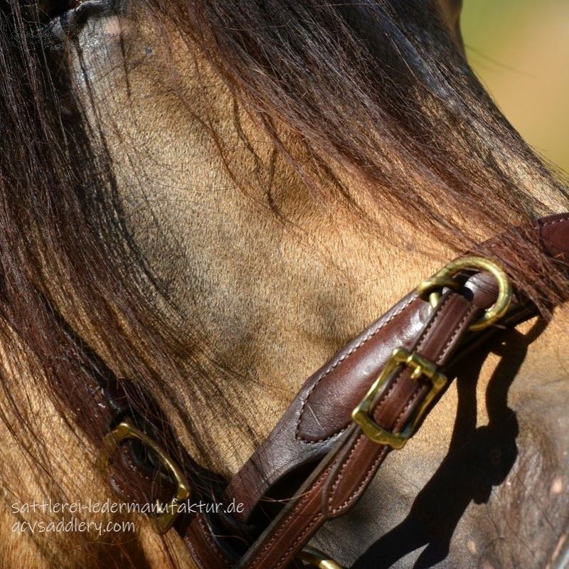 Handgefertigter Akademischer Zaum