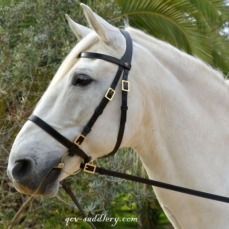 Handmade Portuguese Bridle EVORA