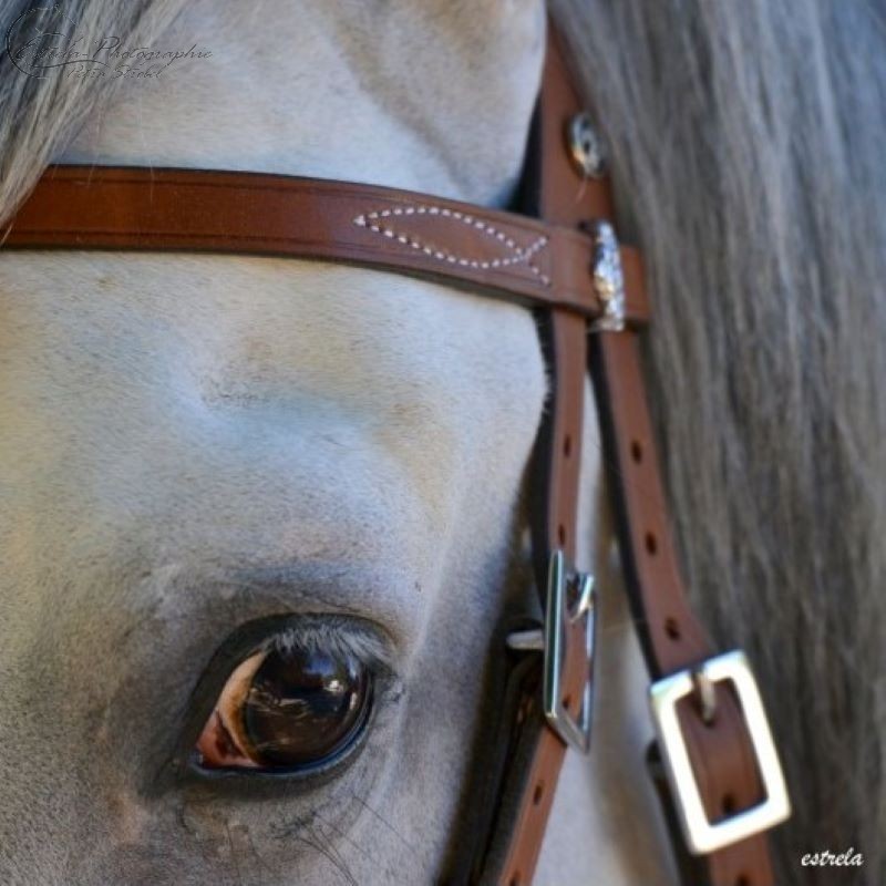 Handmade Portuguese Bridle EVORA