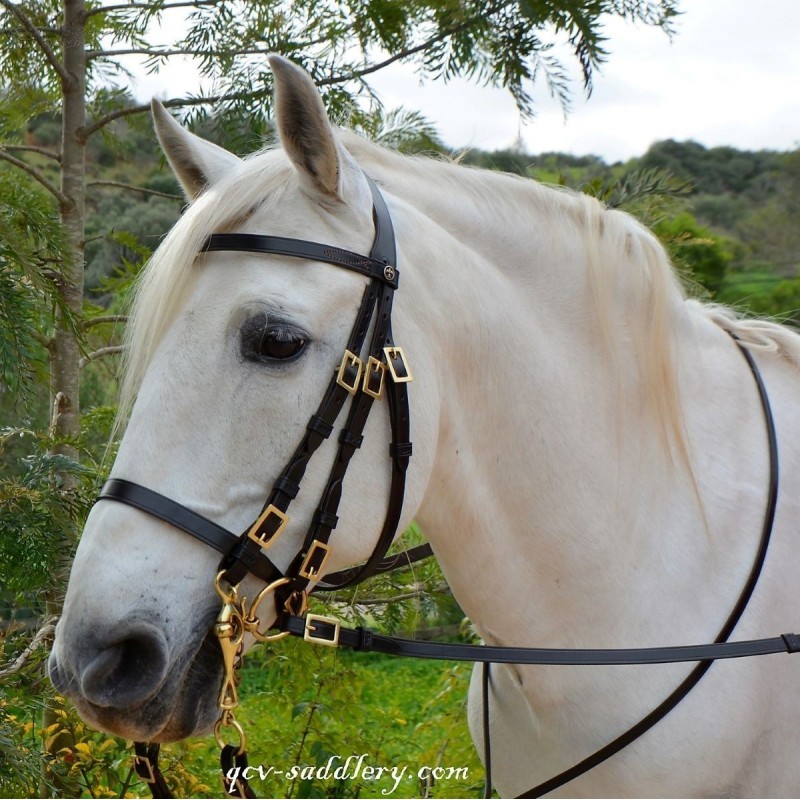 Handmade rolled double bridle