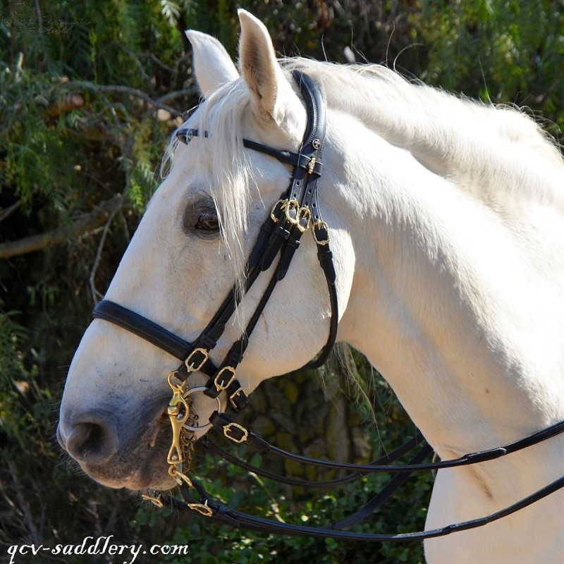 Handmade rolled double bridle