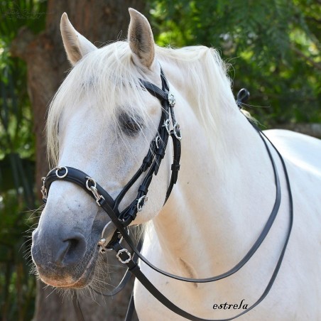 Handmade Academic Bridle