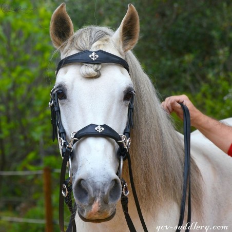 Handmade Academic Bridle