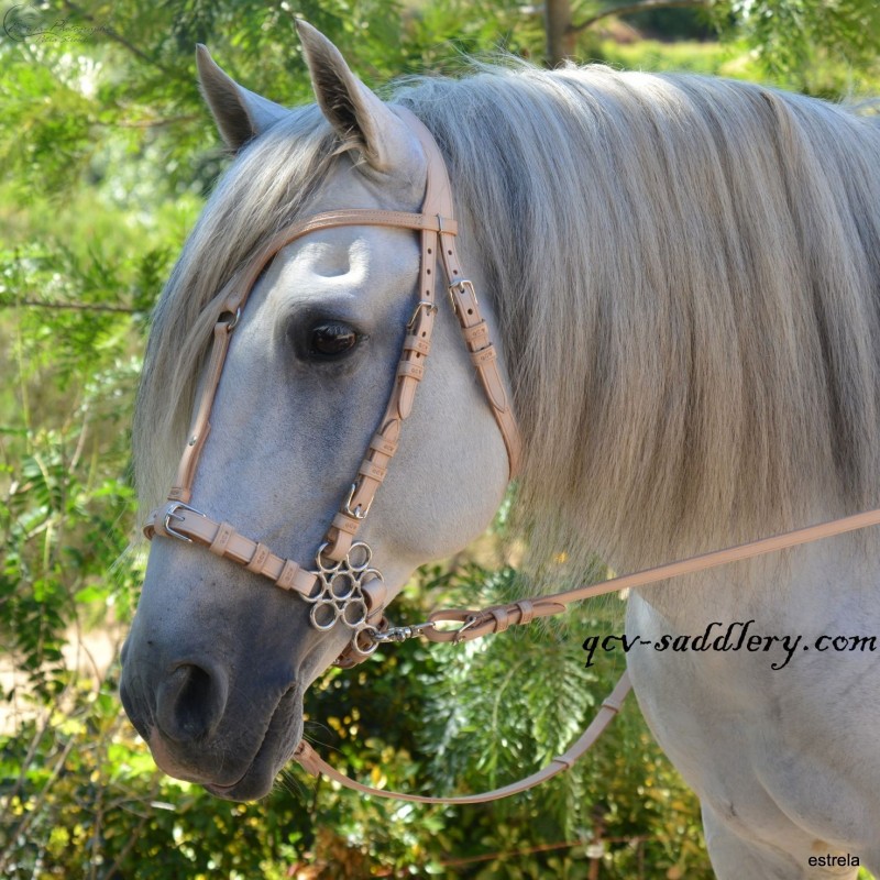 Bitless Bridle Feel-Free