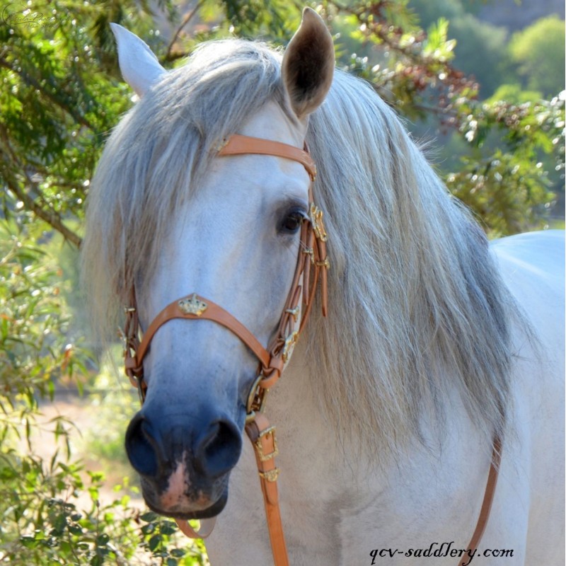 Handmade Classical Bridle Royal