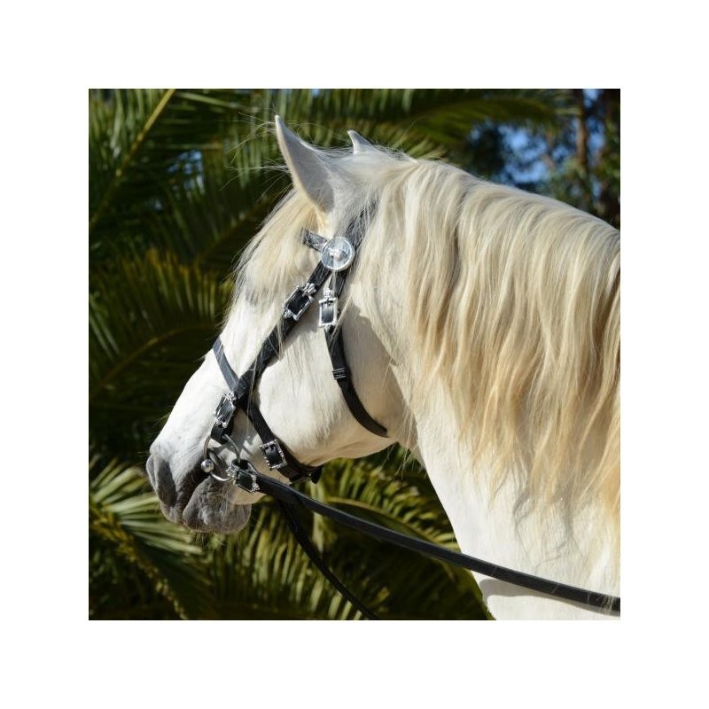 Handmade Classical Bridle Royal