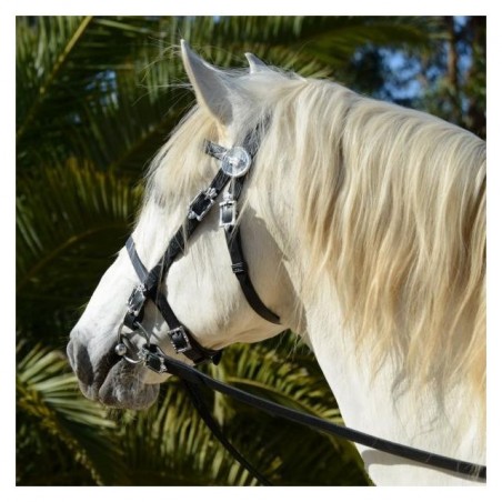 handgefertigter klassischer Zaum Royal